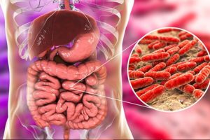 What is Healthy Gut and Why Is It Important? - Delightful Daily